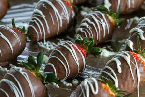 Hotel | Cedar Meadows