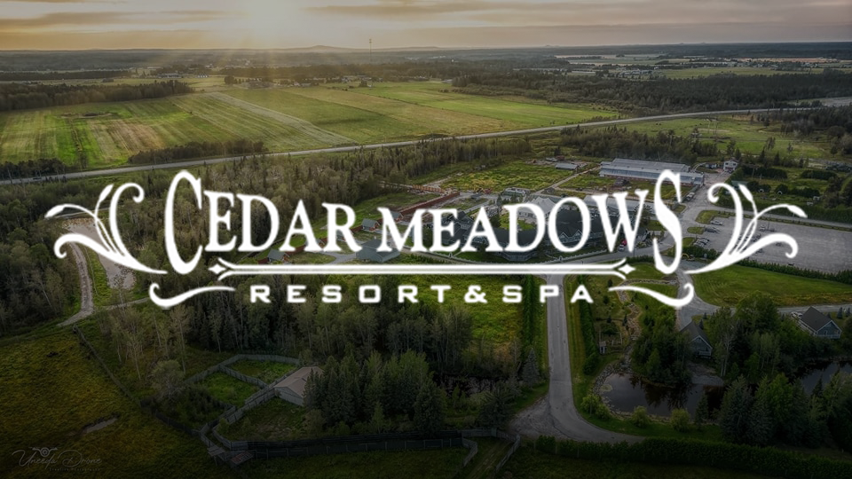 Sleeping With The Wolves | Cedar Meadows