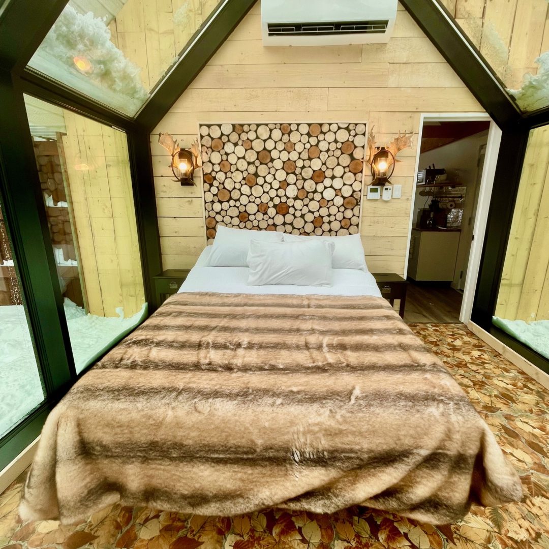 Sleeping With The Wolves – Cedar Meadows