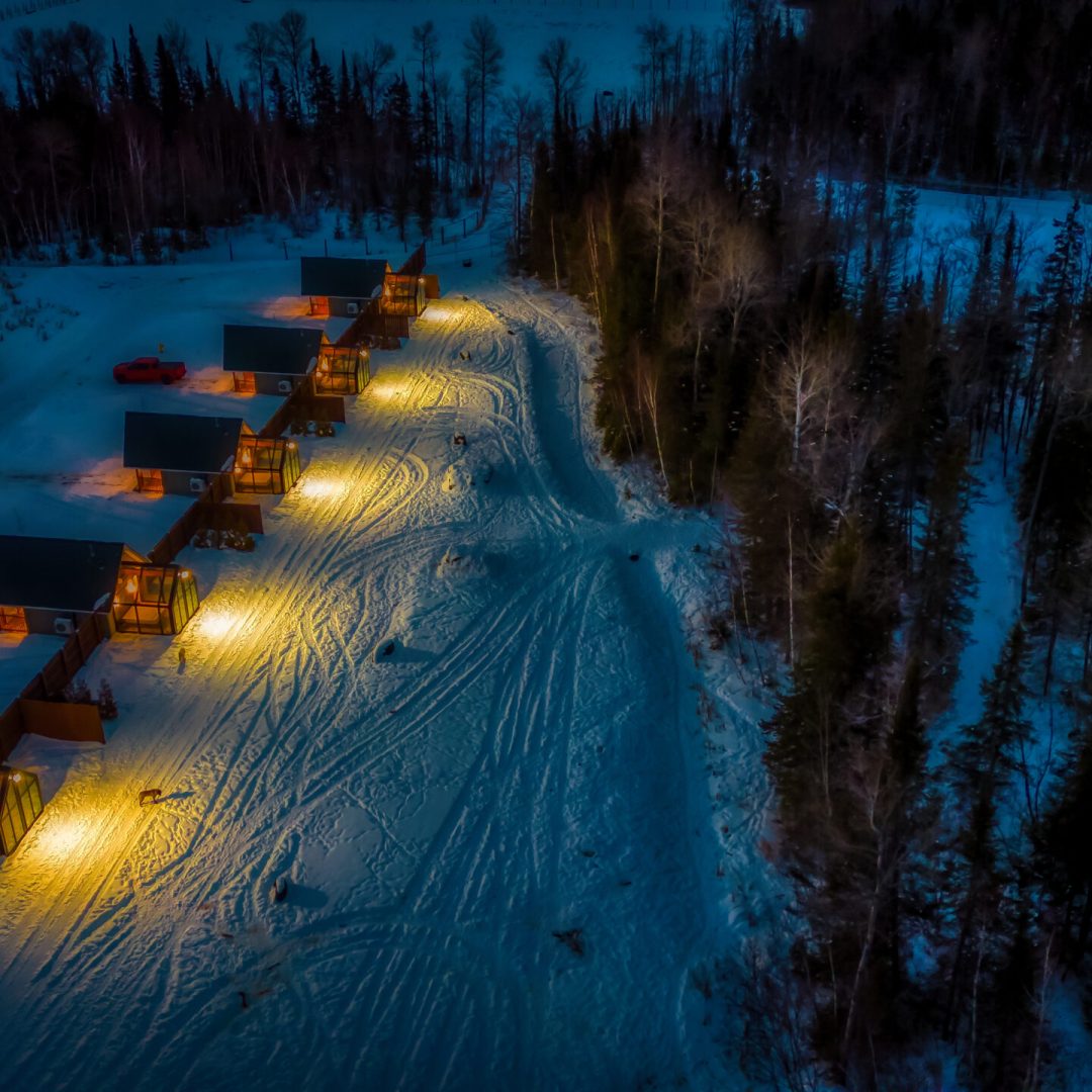 Sleeping With The Wolves – Cedar Meadows